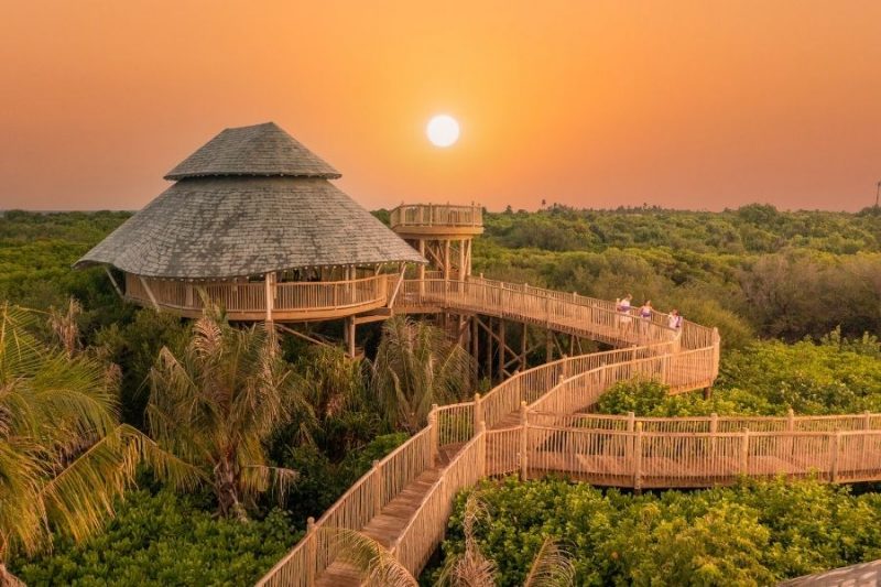 Soneva Launches Soneva Soul, a New, Immersive Wellness Concept