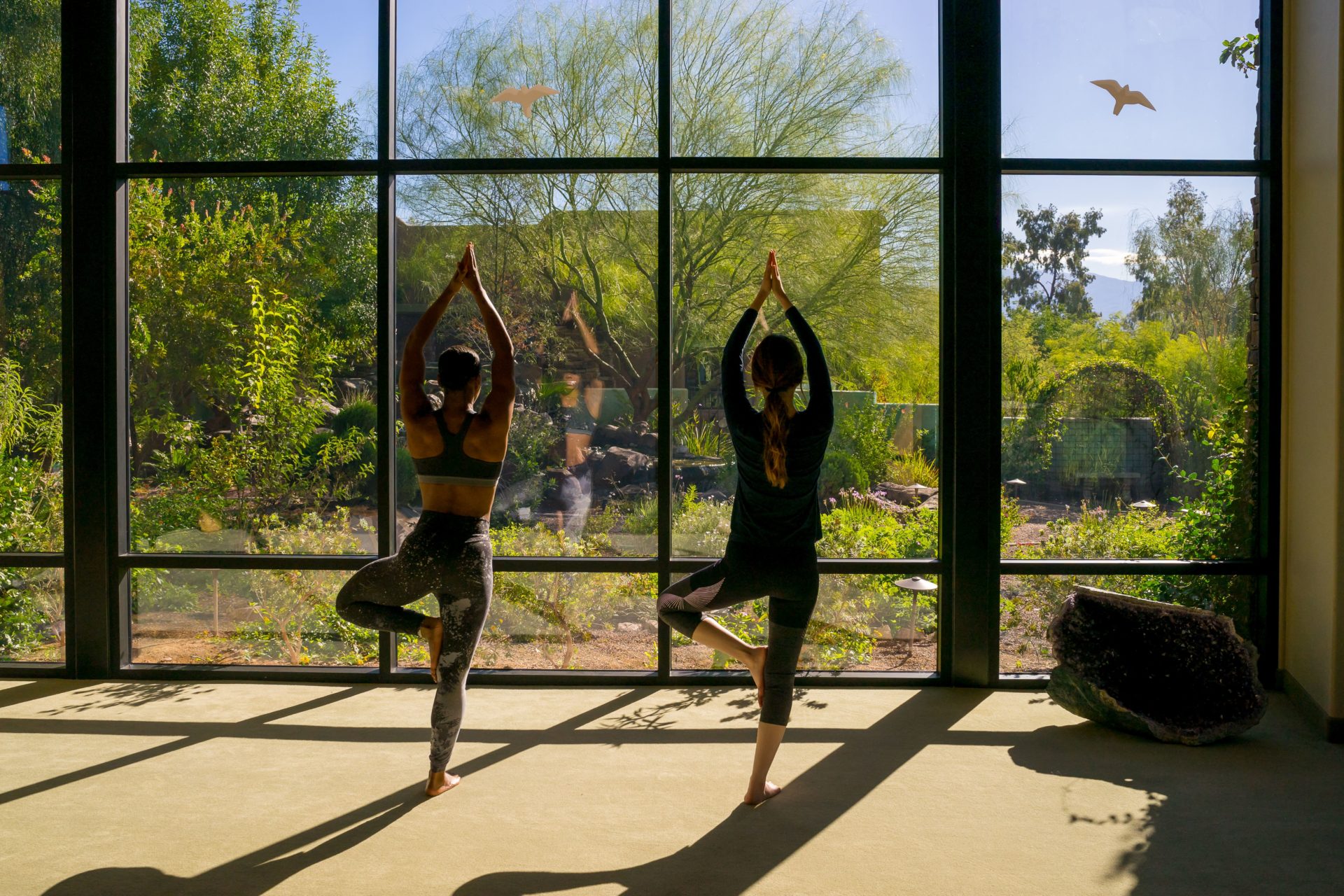 Canyon Ranch’s Jim Eastburn On Rebooting In Nature & Transformational ...