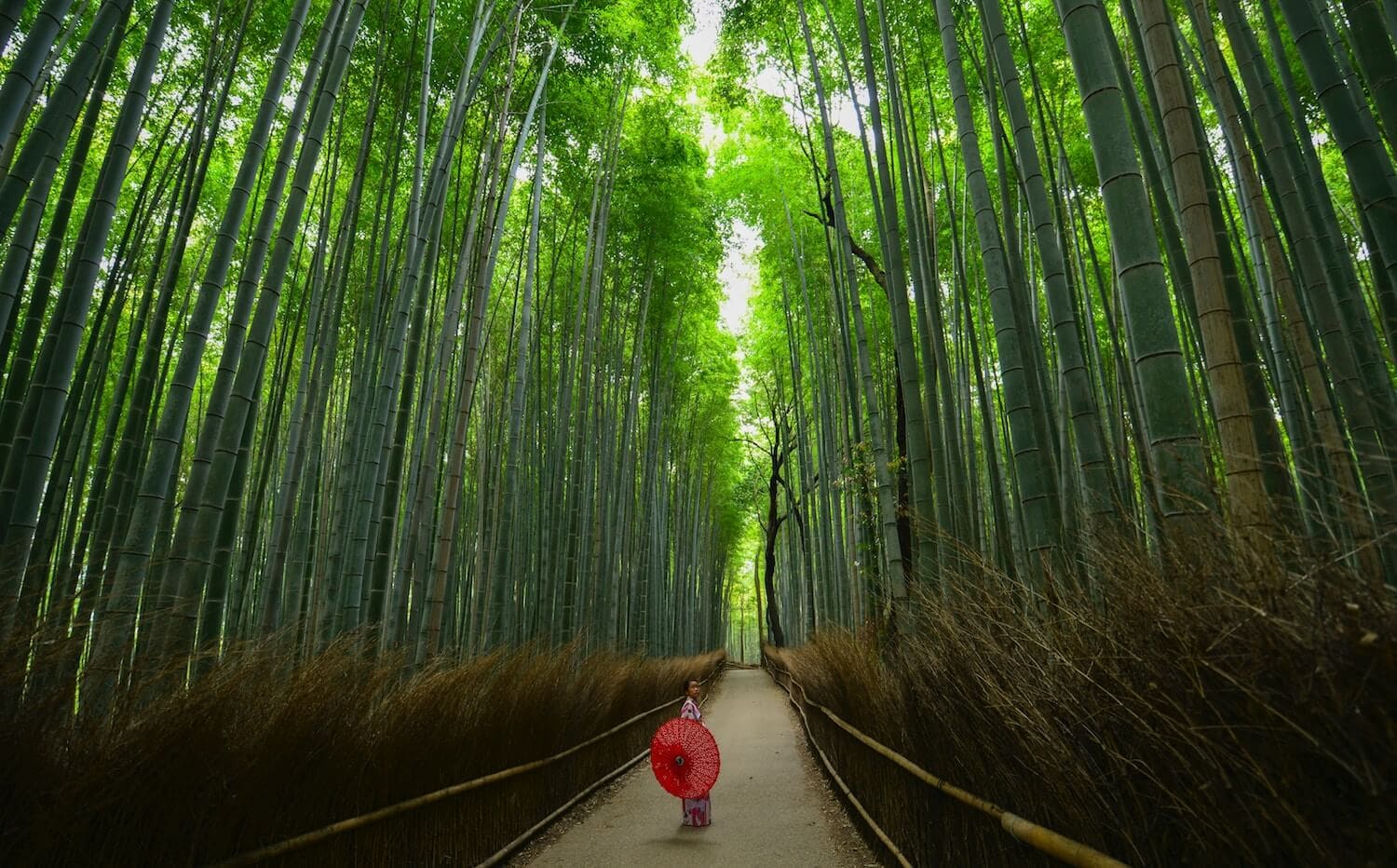 These Are The Top Wellness Trends To Look Out For In 2020