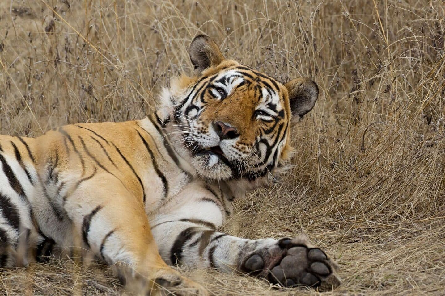 Aman Just Upped Their Wellness Game With Three New Retreats