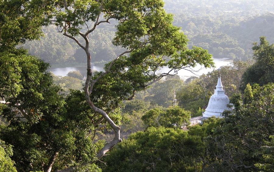 Ulpotha Is A Back-To-Basics Yoga Retreat In Sri Lanka’s Cultural Triangle