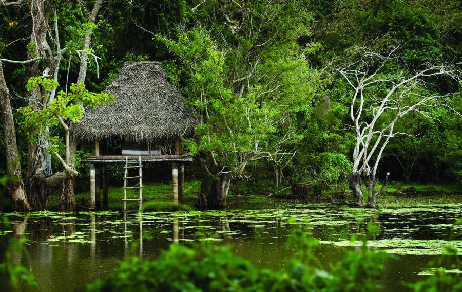 Ulpotha Is A Back-To-Basics Yoga Retreat In Sri Lanka’s Cultural Triangle