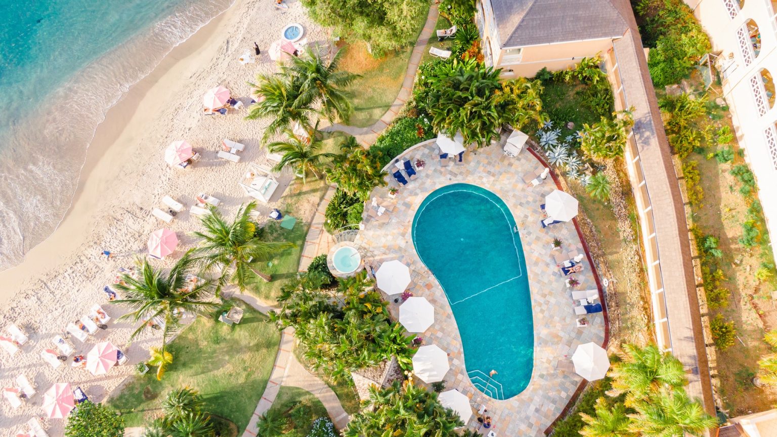 5 Luxury Wellness Retreats to Treat Your Best Friend